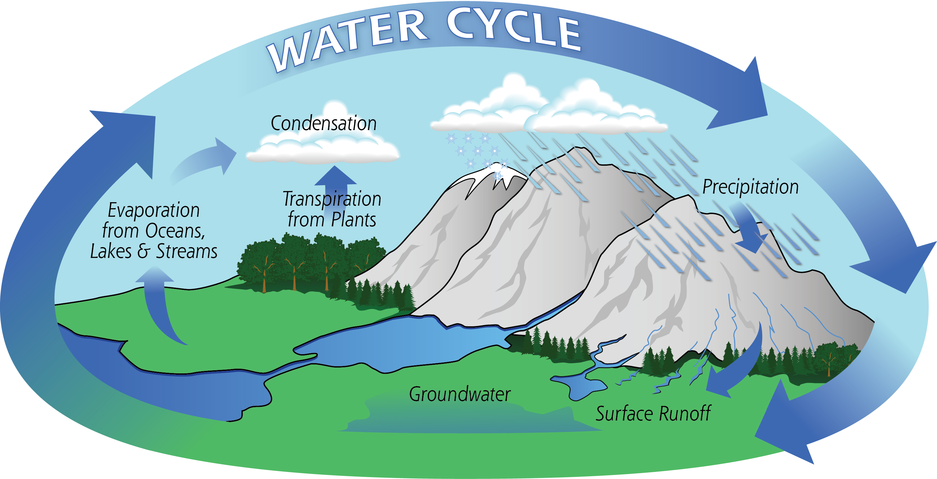 Water Cycle Fun Facts Dialect Zone International
