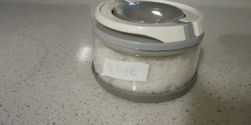 The Rice Experiment – Dialect Zone International