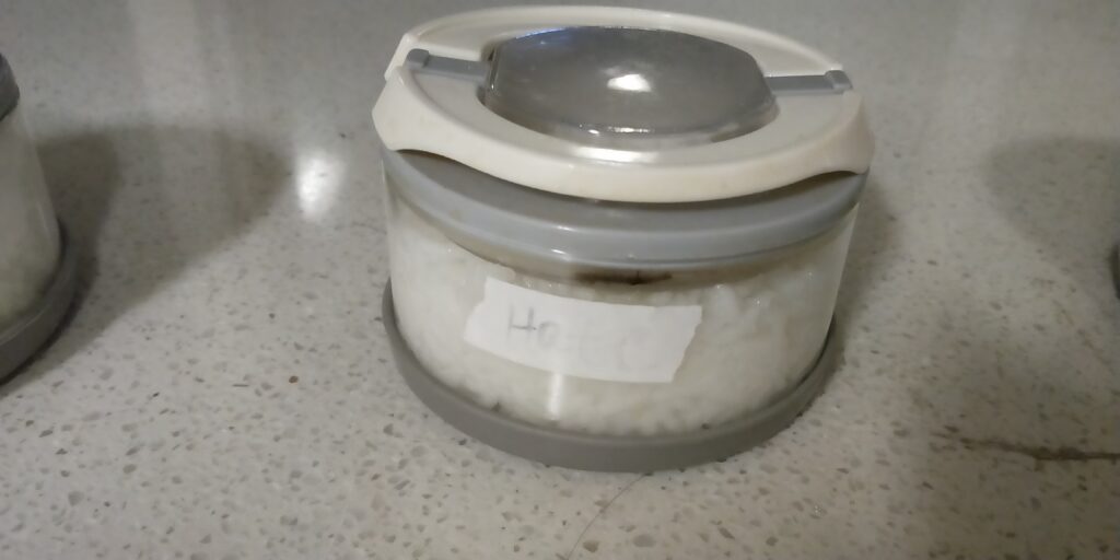 The Rice Experiment – Dialect Zone International